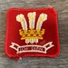 Vintage Prince of Wales Feathers Patch – ICH DIEN, Red Canvas - Etsy