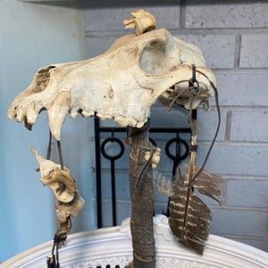 Vintage - Native American - Spirit Stick - Ritual - Dance - Talking ...