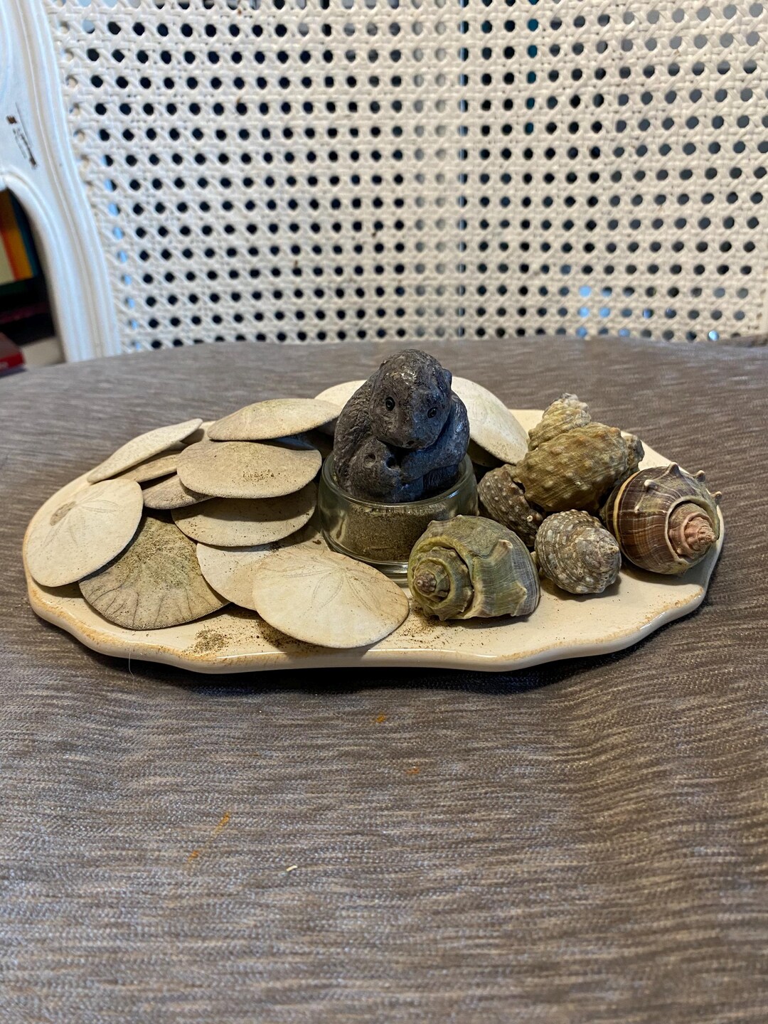 Vintage California Seaside Centerpiece: Sand Dollars, Conch Shells ...