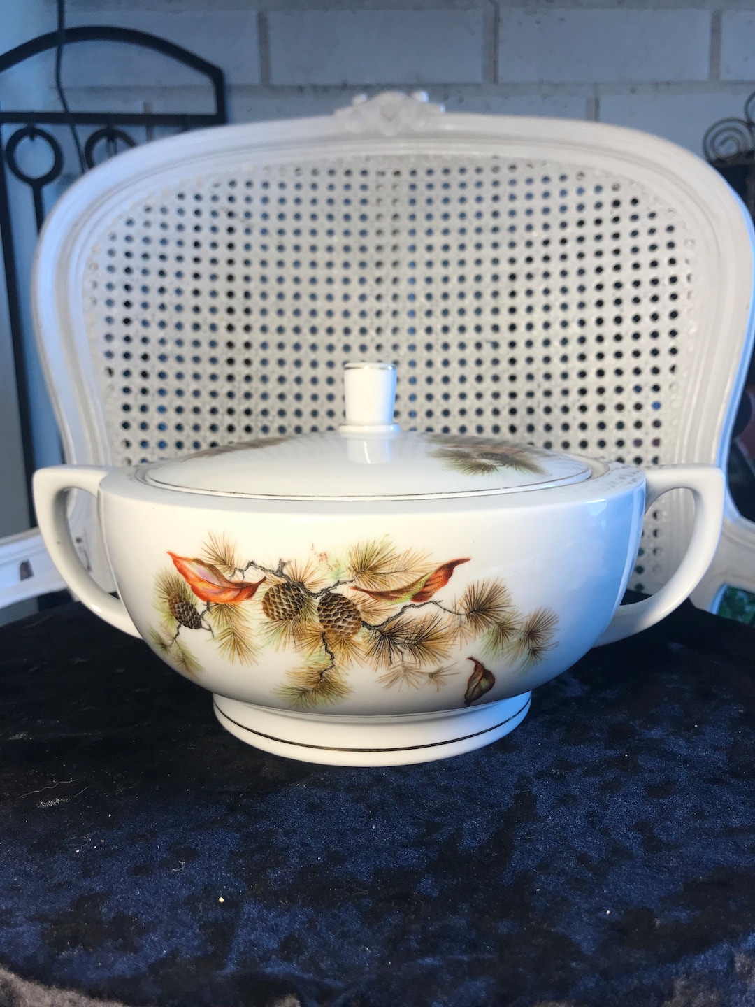 Vintage GEM China Covered Serving Dish: Brown Pine Cones, Orange Leaves ...