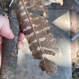 Vintage Native American Spirit Stick Ritual Dance Talking Stick ...