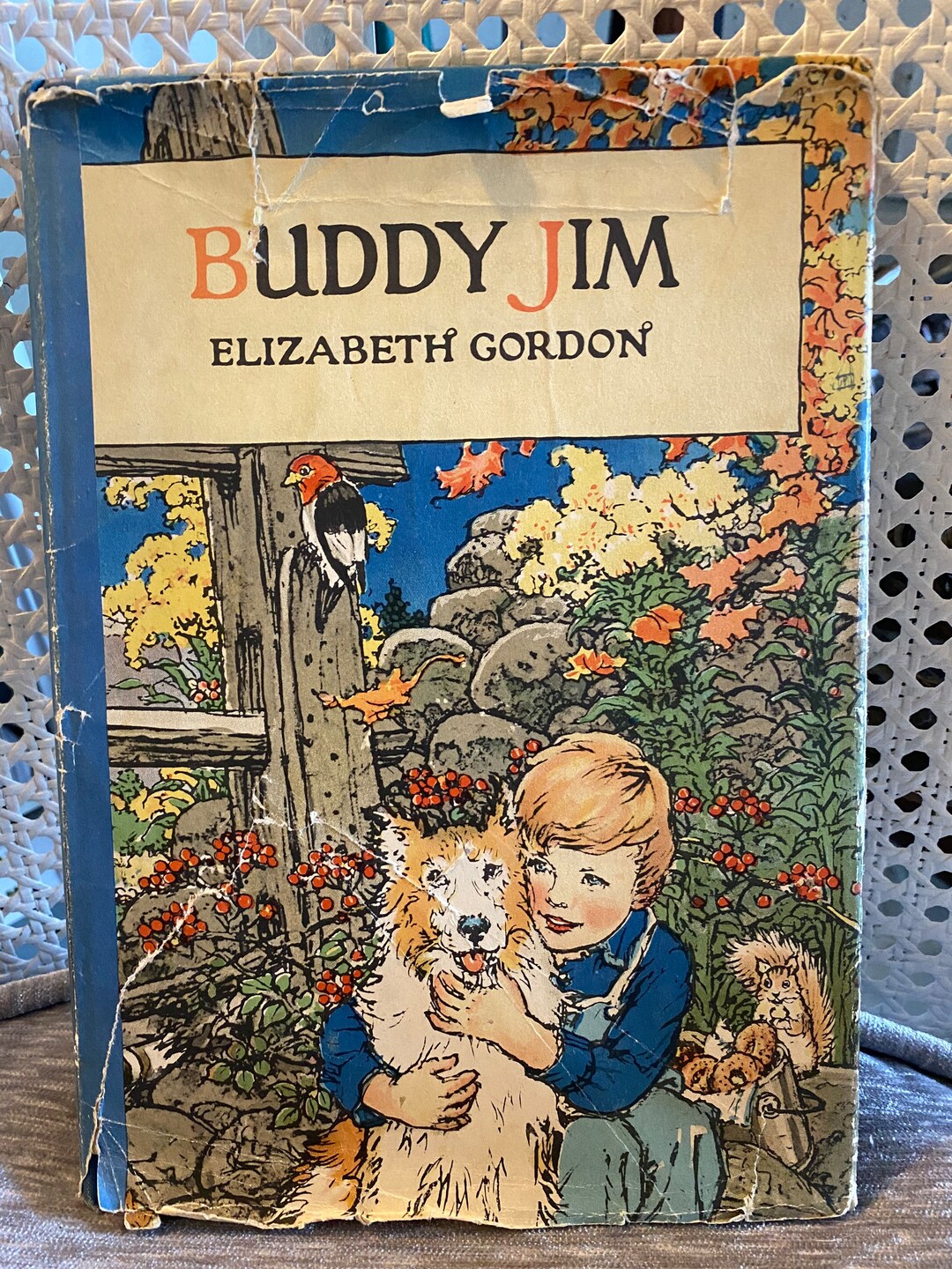 Buddy Jim antique Children's Book Published 1921 by Elizabeth Gordon ...
