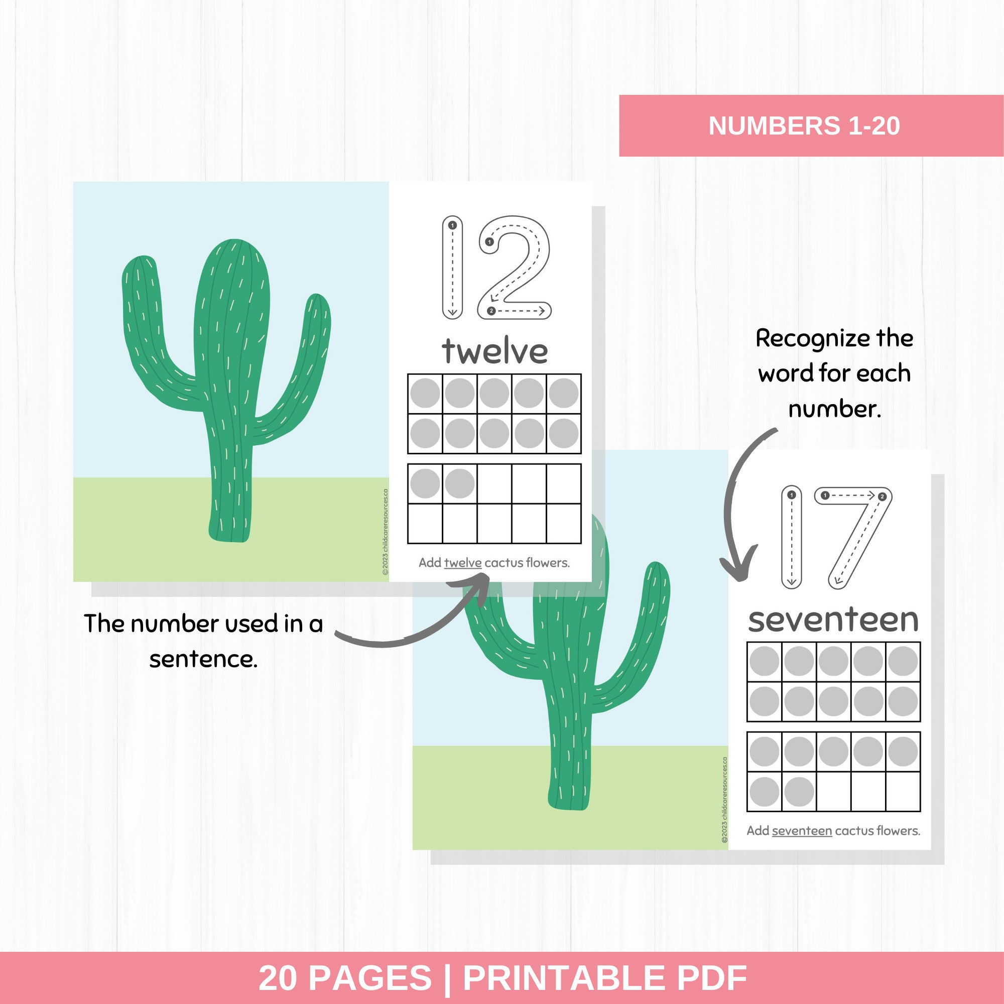 Cactus Number Mats Learn to Count Numbers 1-20 Tracing Activity ...