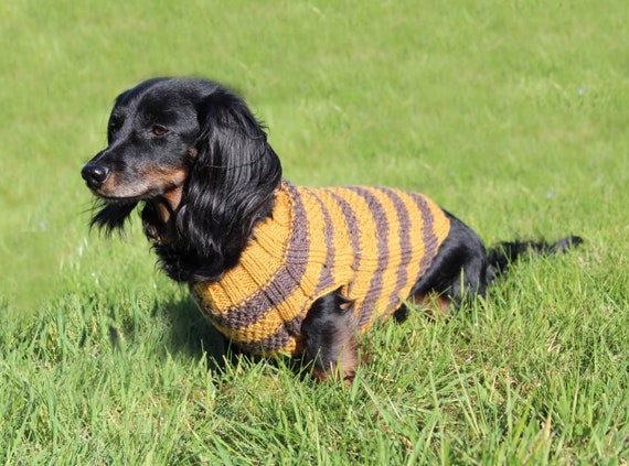 Sweater for Dachshund. Bee Costume for Wiener Dog. Knit Warm | Etsy