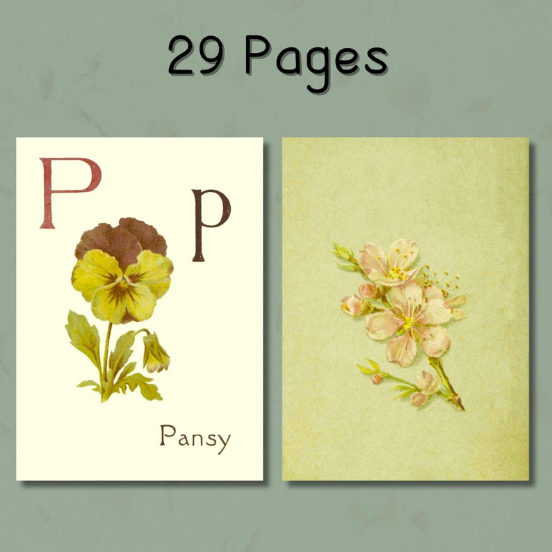 Vintage 1883 'floral Alphabet' Illustrated Book, Printable Children's ...