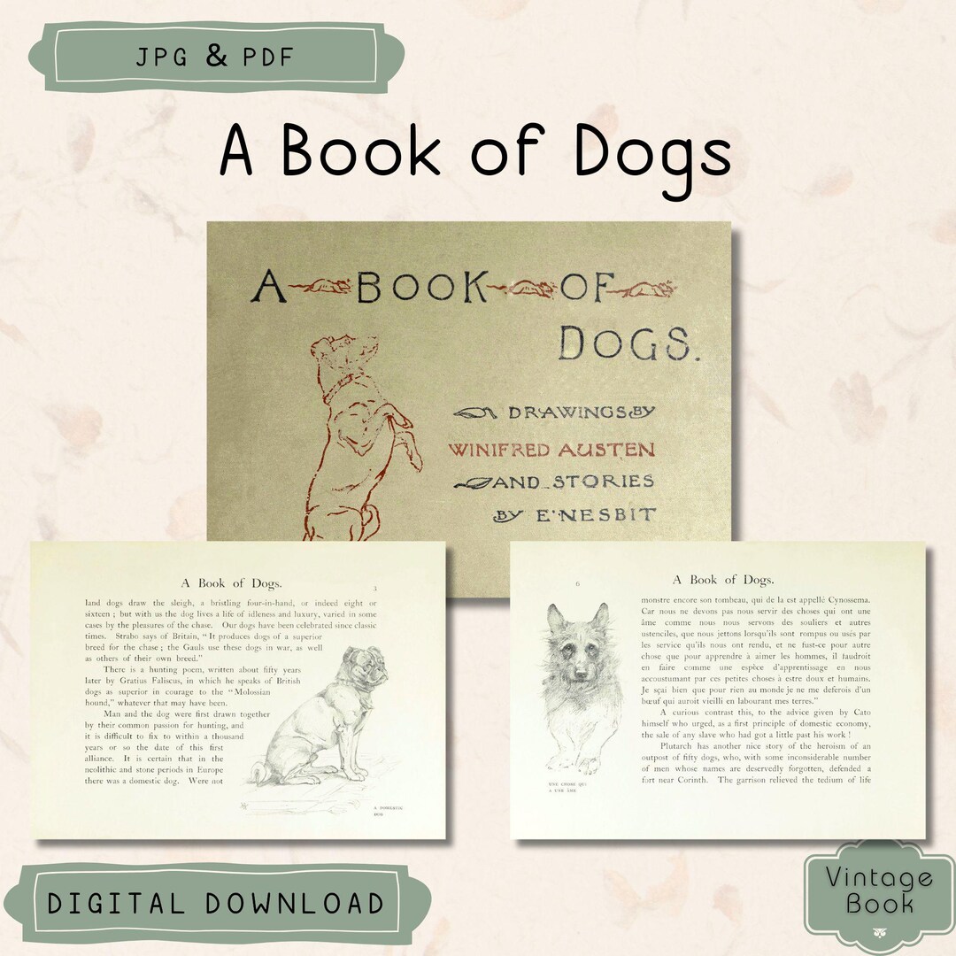 Vintage 'A Book of Dogs' Illustrated Children's Book, Printable Pencil ...