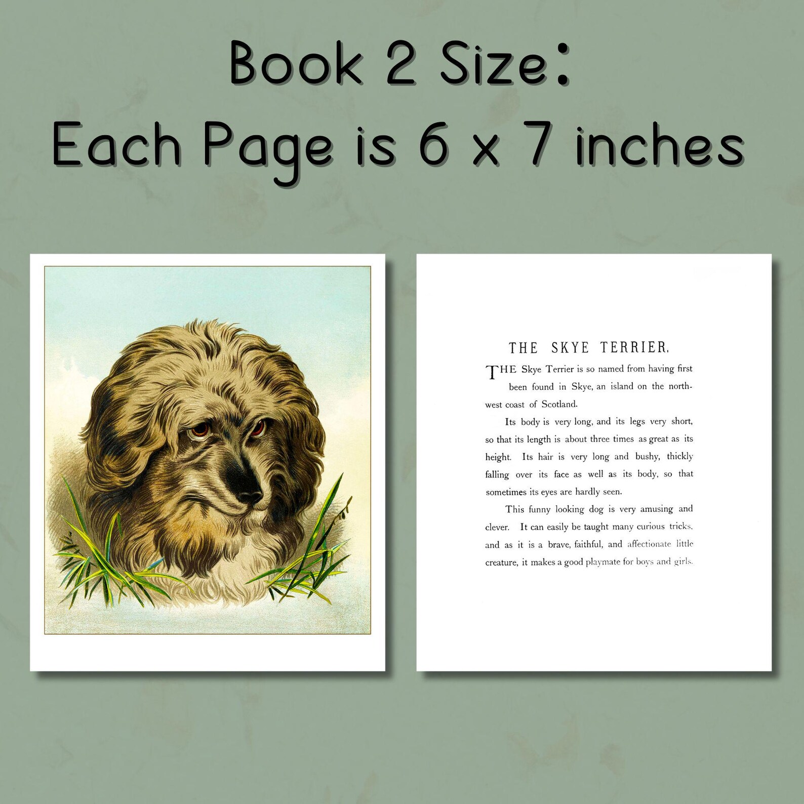 Vintage Dog Illustrations, Printable 'A Book of Dogs' and 'landseer's ...