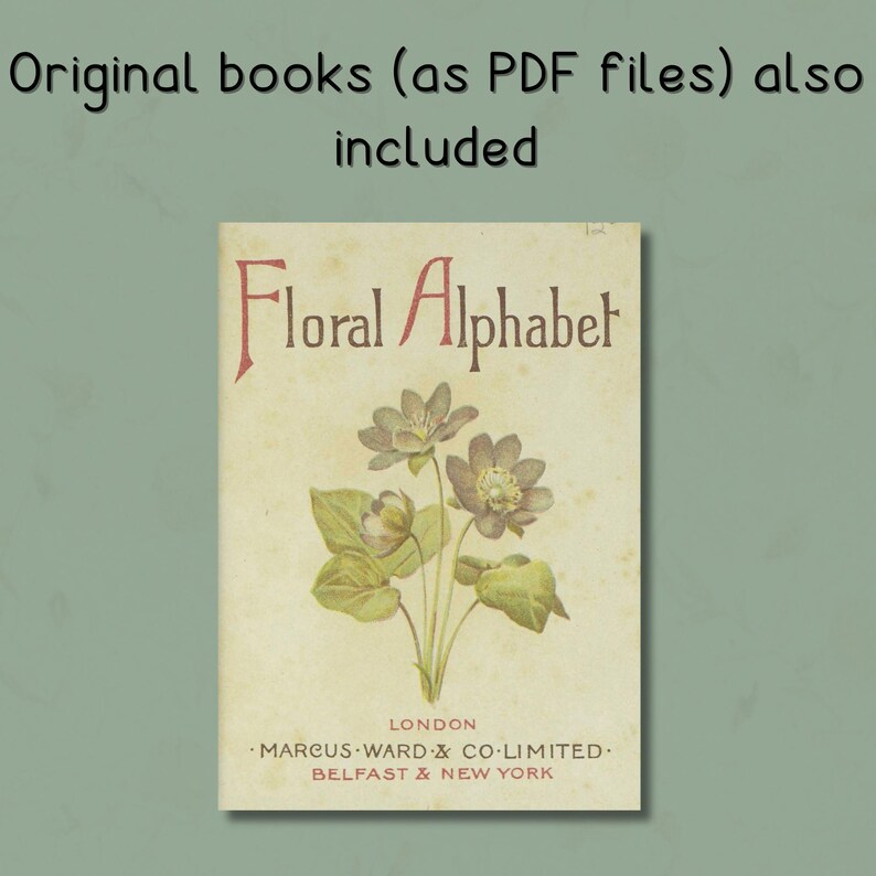 Vintage 1883 'floral Alphabet' Illustrated Book, Printable Children's ...
