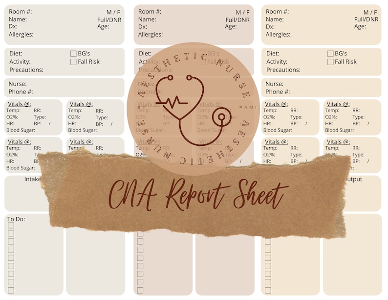 CNA Report Sheet 6 Patients - Etsy