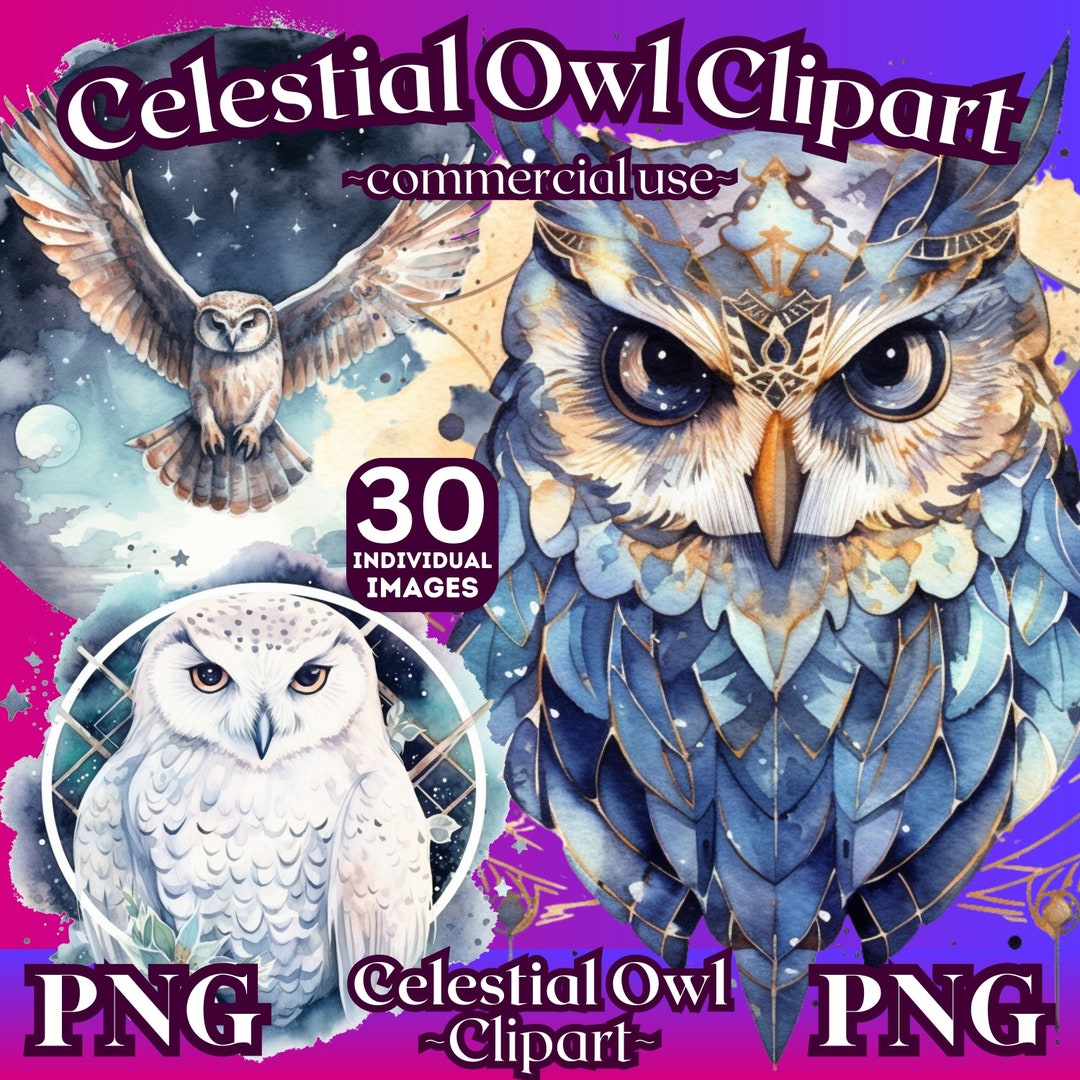 Celestial Owl Clipart, Mystical Owl Png Bundle, Spirit Animal Png File ...