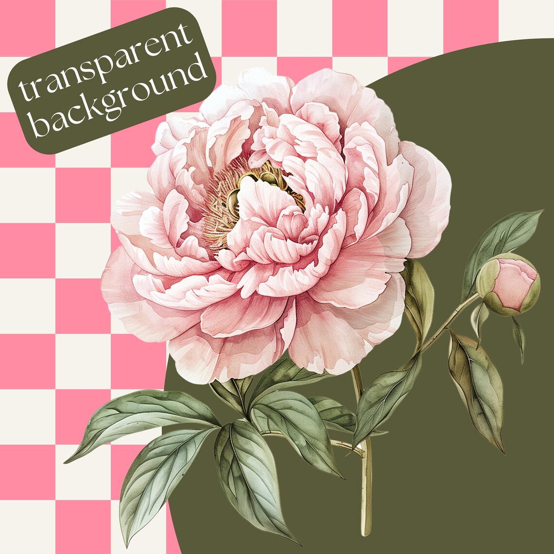 Coquette Watercolor Clipart, Coquette Png Graphics, Pink Coquette ...