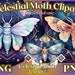 Celestial Moth Clipart, Cosmic Moth Png, Moth Clipart, Celestial Moth ...