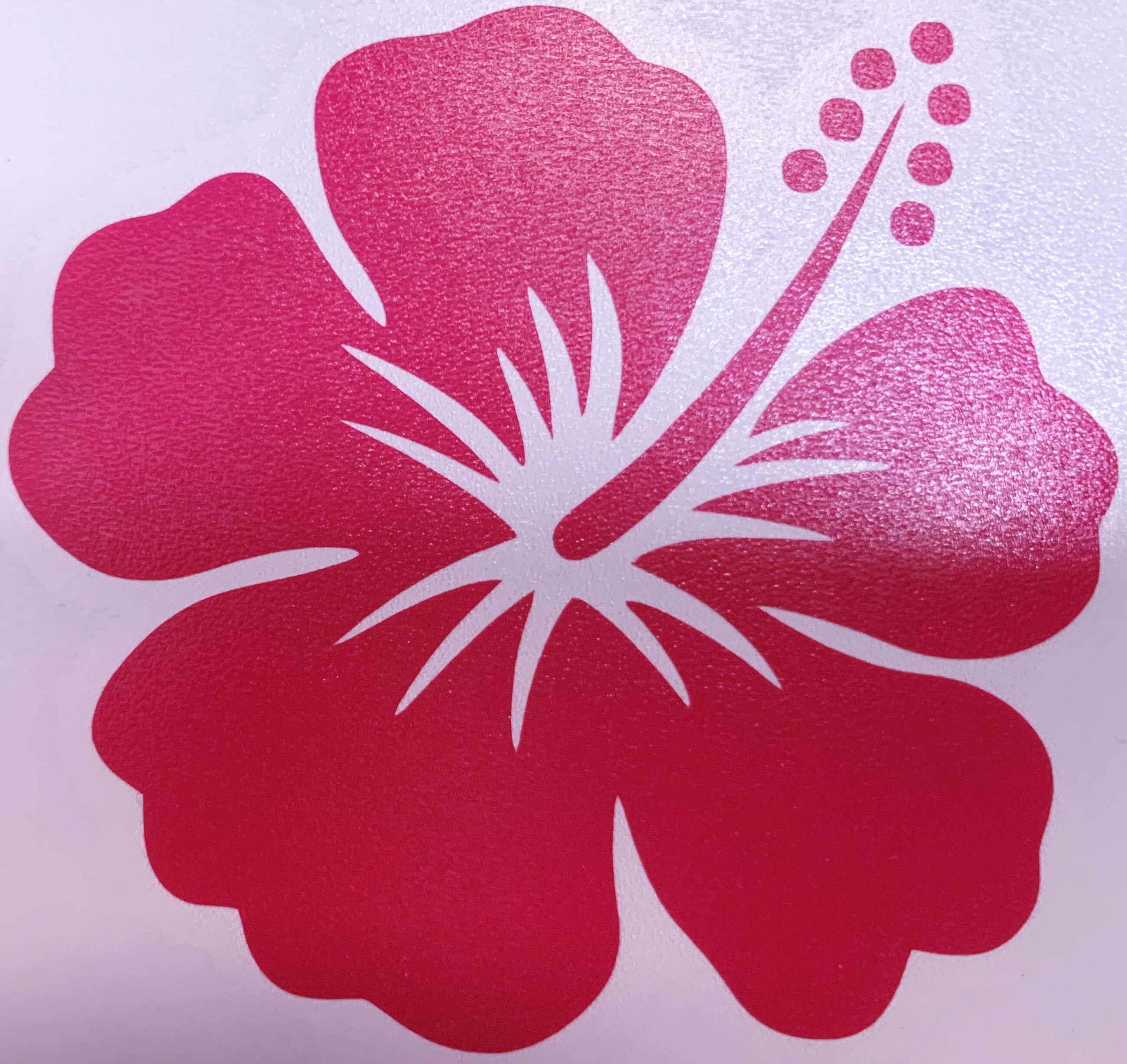 Hibiscus Flower - Outdoor Vinyl Decal / Sticker - 3 Color Options - 3.0 ...