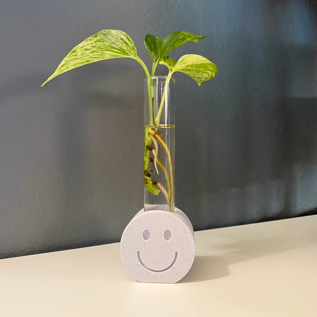 3D Printed Smiley Propagation Station Propagation Stand - Etsy