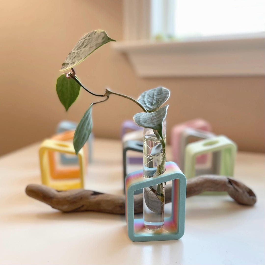 3D Printed Slanted Propagation Stand - Eco-friendly :) - Etsy