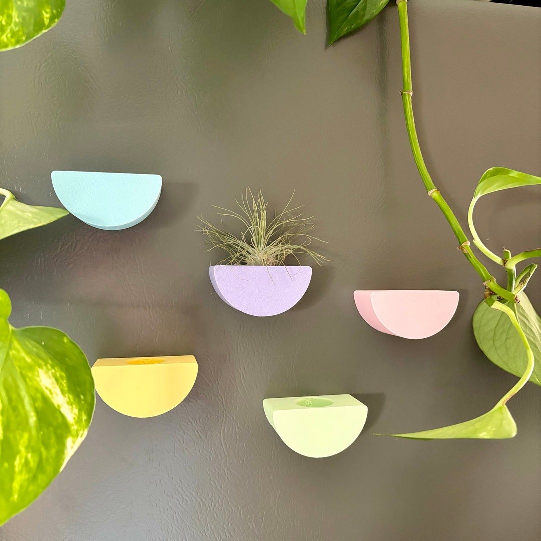 3D Printed Magnetic Air Plant Holder - tillandsia Holder - Eco-friendly ...