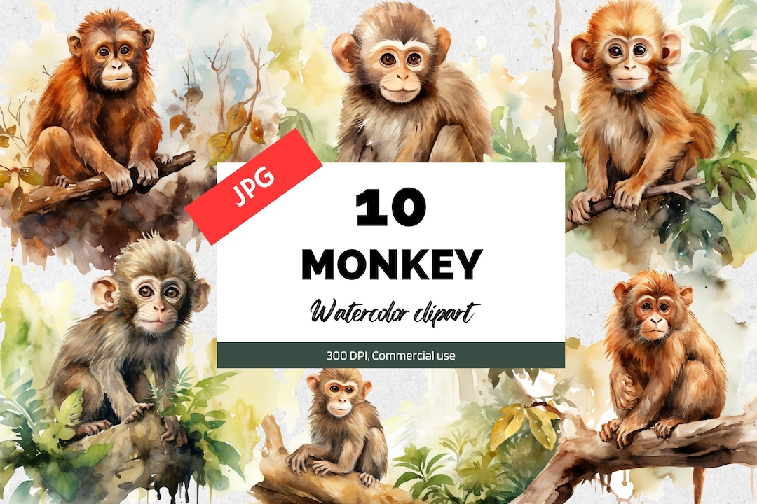 Watercolor Monkey Clipart, 10 High Quality JPG, Commercial Use, Instant ...