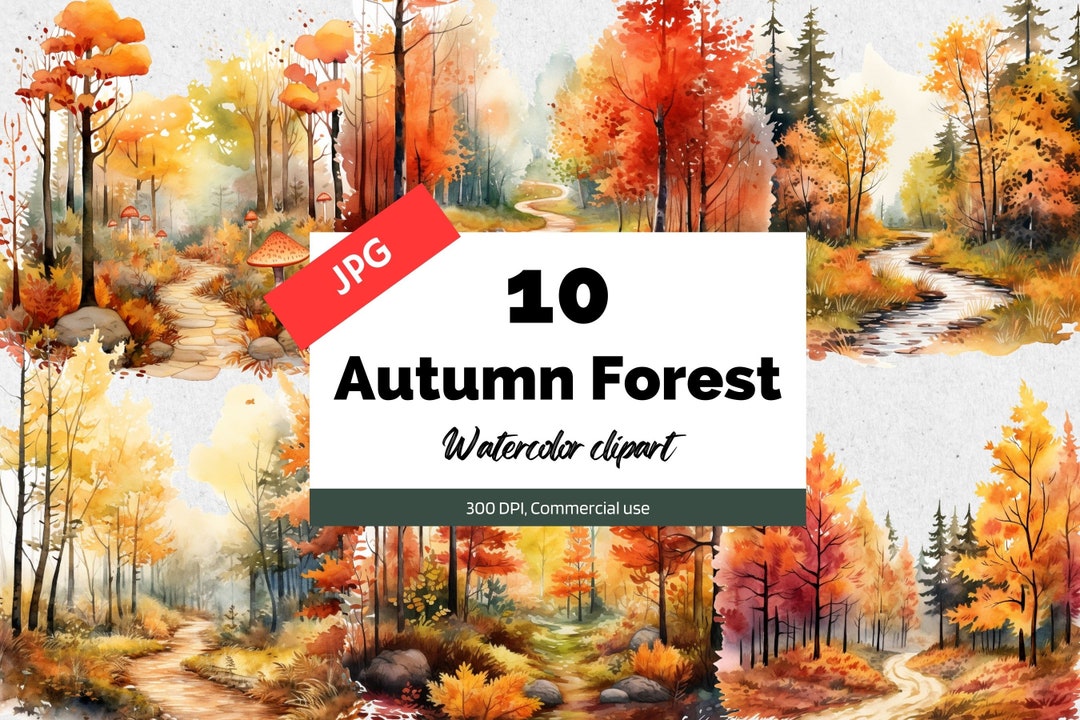 Autumn Forest Clipart, 10 High Quality Jpgs, Commercial Use, Instant ...