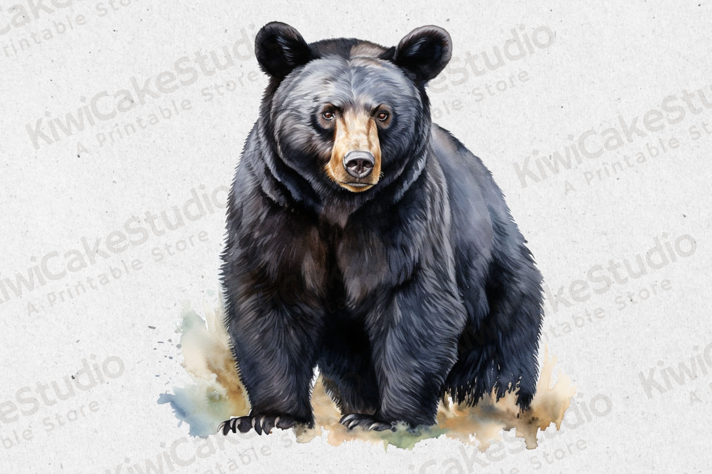 Watercolor Black Bear Clipart, 10 High Quality Jpgs, Commercial Use ...