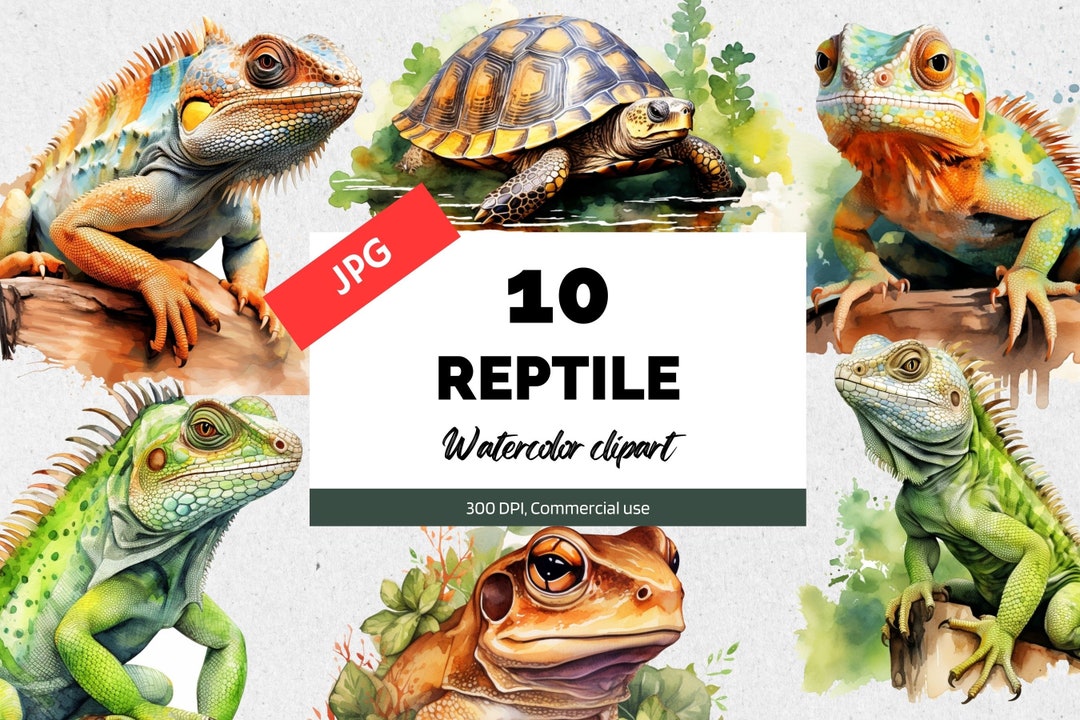 Watercolor Reptile Clipart, 10 High Quality JPG, Commercial Use ...