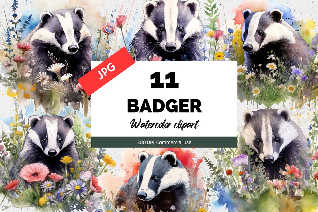 11 Watercolor Floral Badger Clipart, High Quality Jpgs, Wild Animal ...