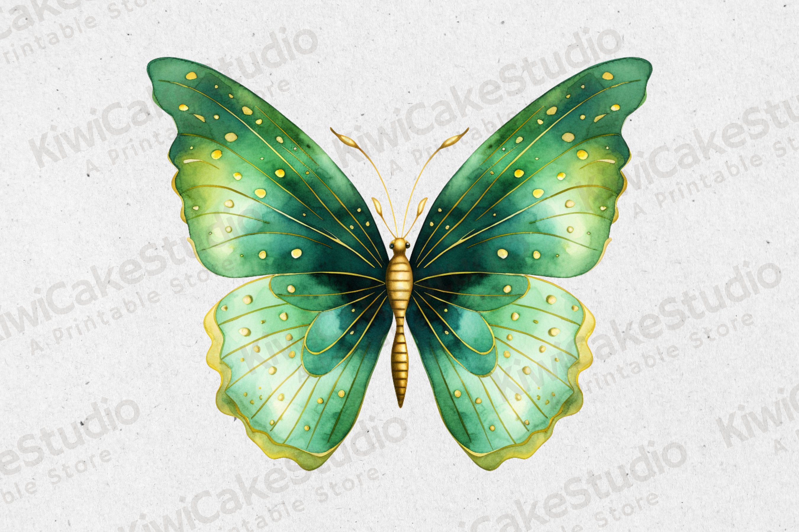 Green and Gold Butterfly Clipart, 10 High Quality Jpgs, Green ...