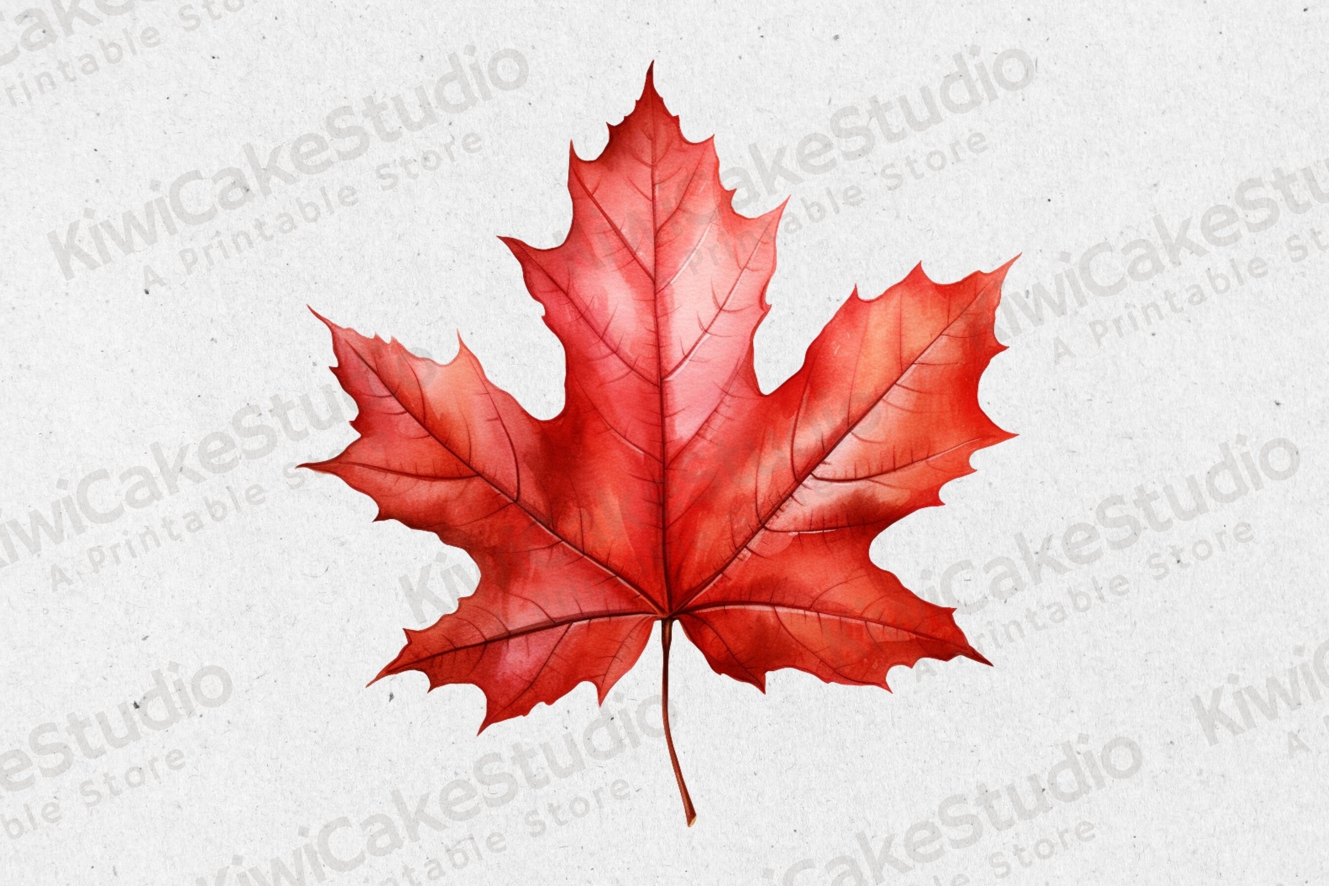 Watercolor Maple Clipart, 10 High Quality Jpgs, Commercial Use, Instant ...