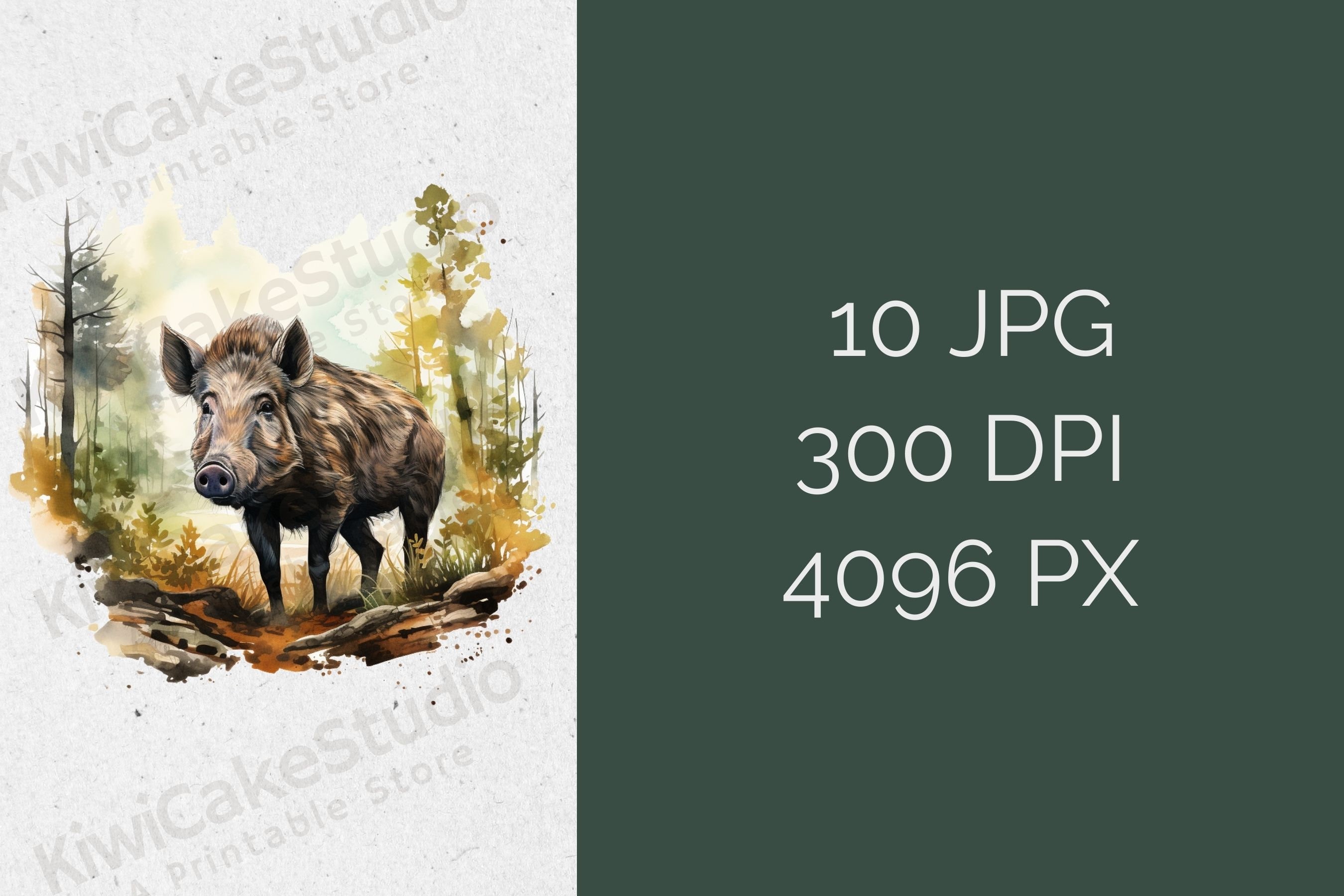 Watercolor Wild Boar Clipart, 10 High Quality Jpgs, Commercial Use ...