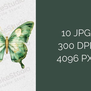 Green and Gold Butterfly Clipart, 10 High Quality Jpgs, Green ...
