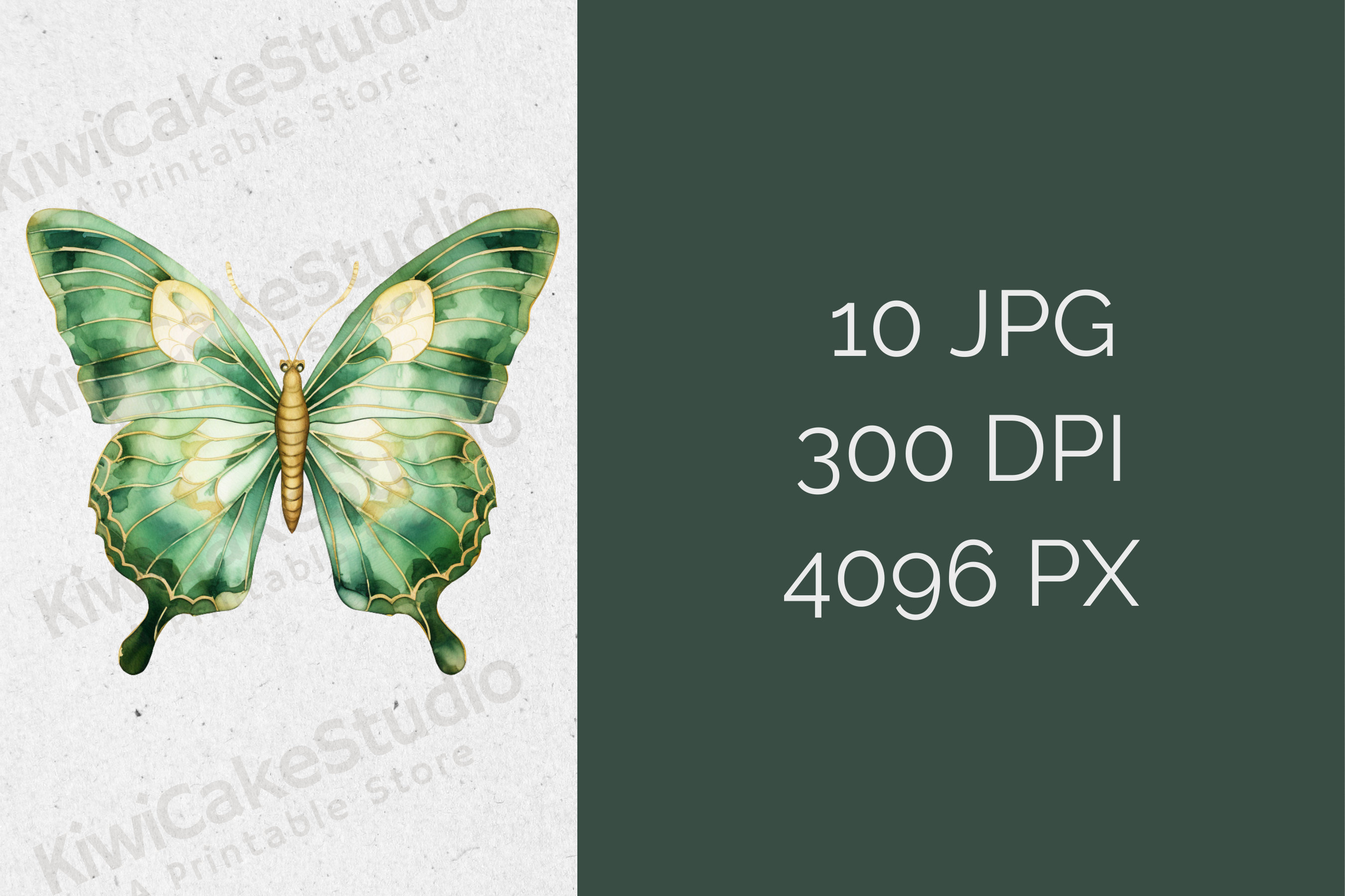 Green and Gold Butterfly Clipart, 10 High Quality Jpgs, Green ...