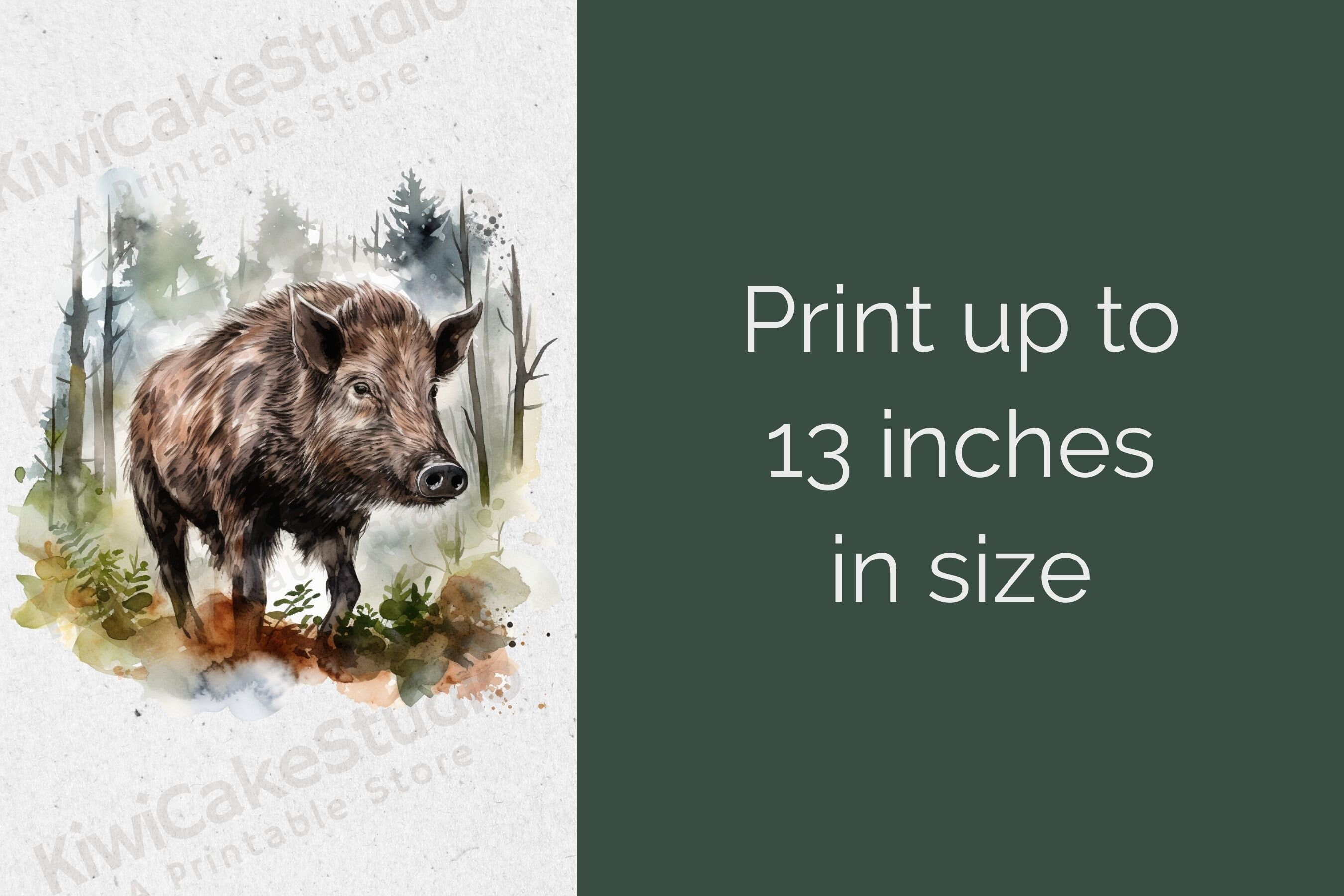 Watercolor Wild Boar Clipart, 10 High Quality Jpgs, Commercial Use ...