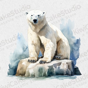 Watercolor Polar Bear Clipart, 10 High Quality Clipart, Card Making ...