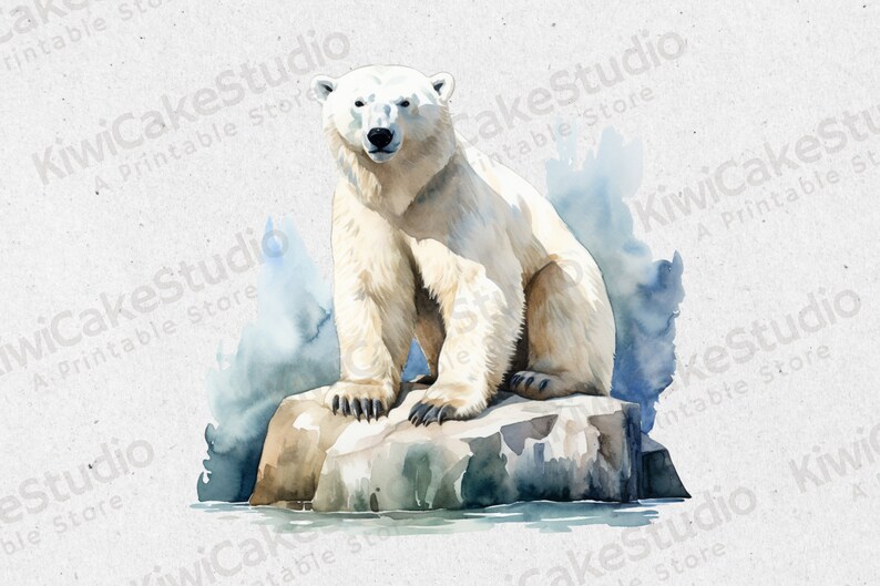 Watercolor Polar Bear Clipart, 10 High Quality Clipart, Card Making ...