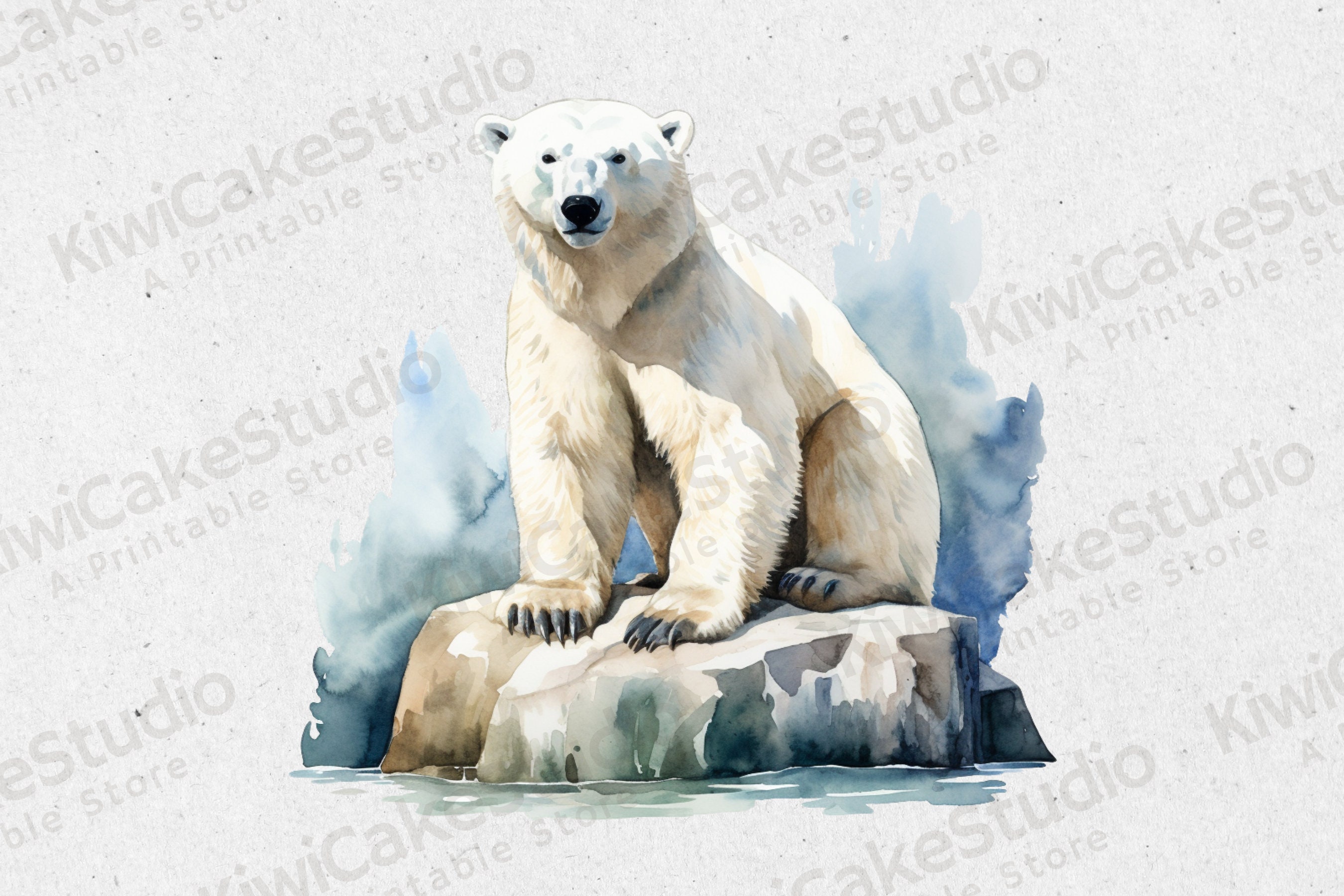 Watercolor Polar Bear Clipart, 10 High Quality Clipart, Card Making ...