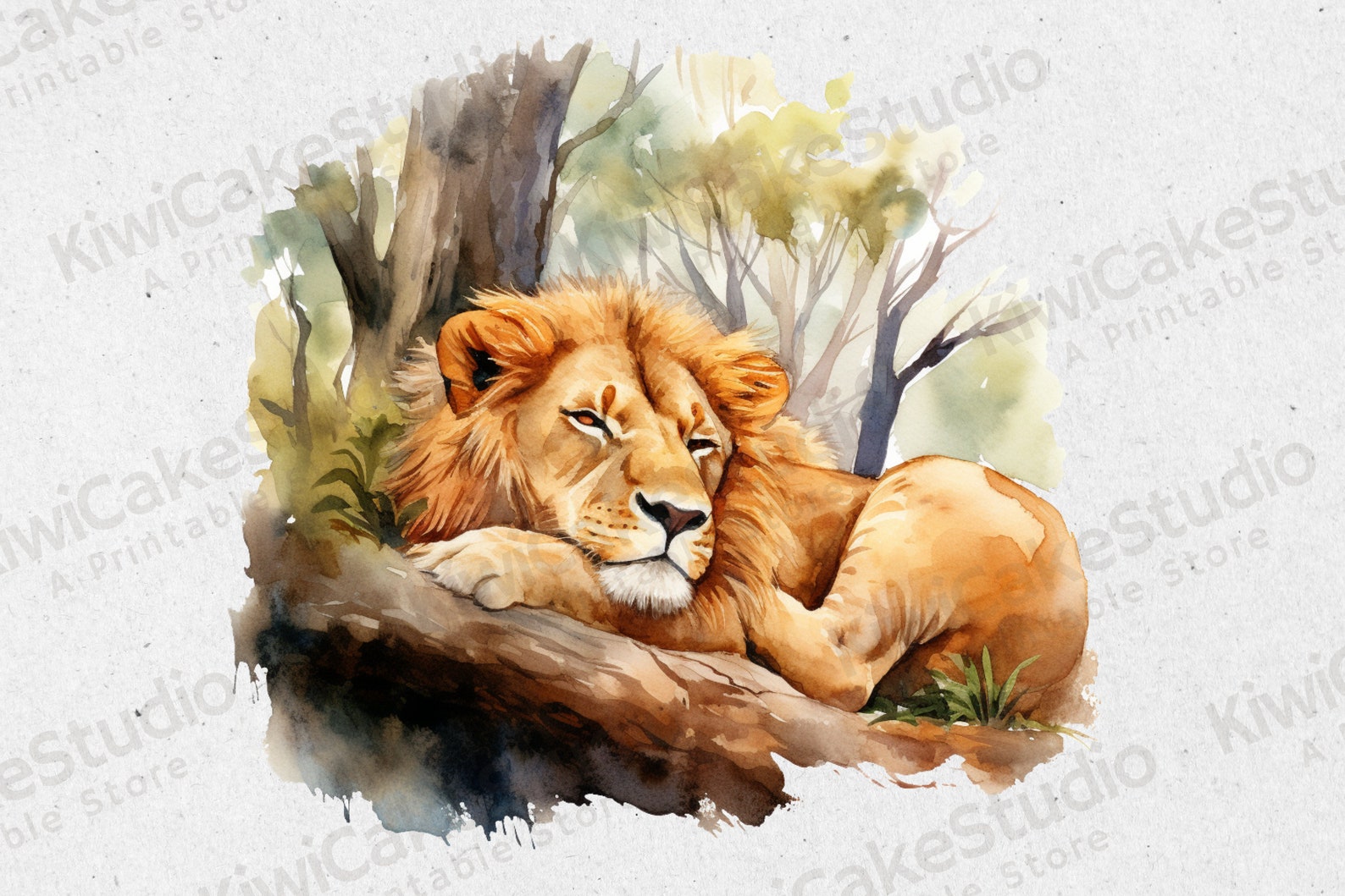 Watercolor Sleepy Lions Clipart, 10 High Quality Jpgs, Scrapbook Images ...