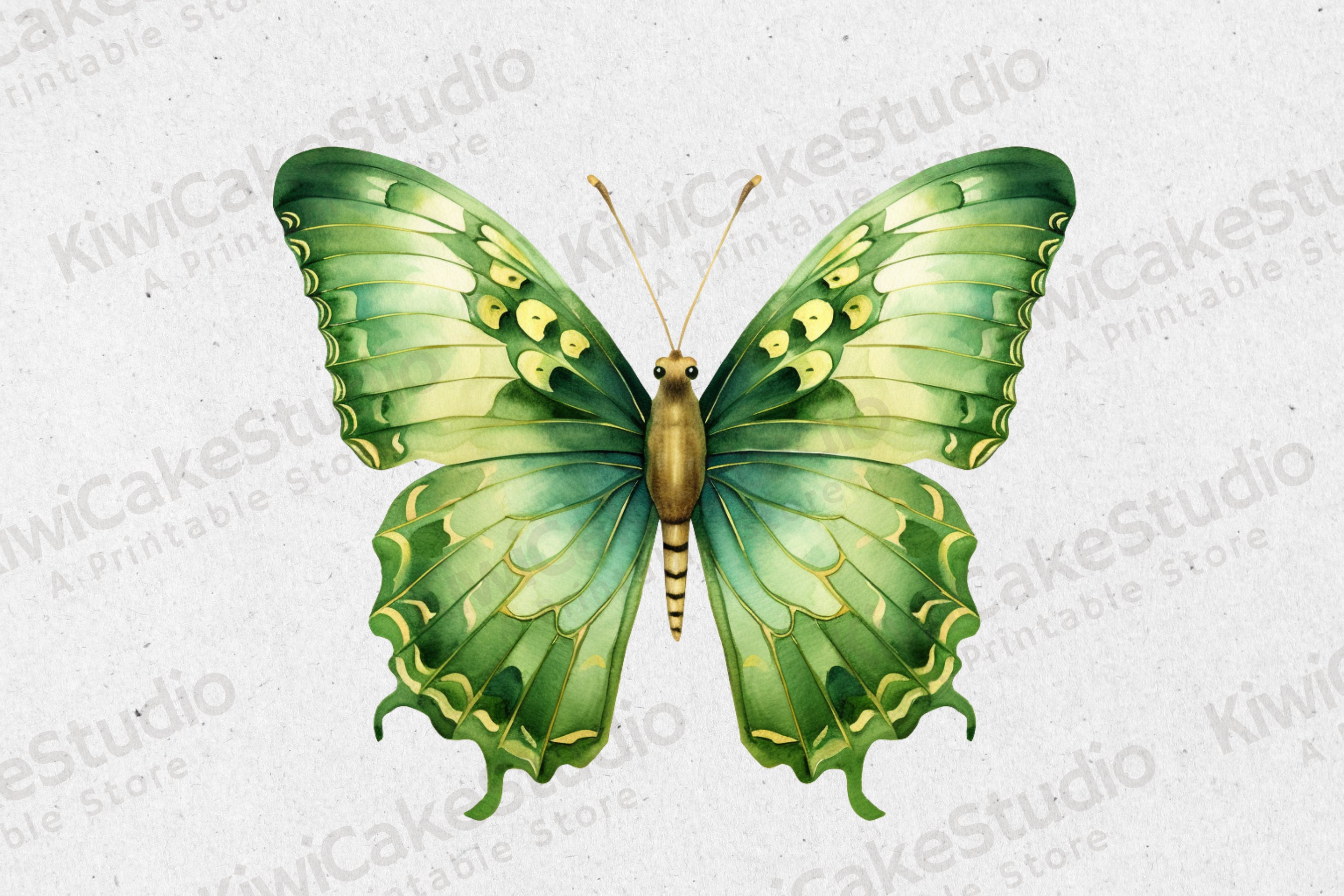 Green and Gold Butterfly Clipart, 10 High Quality Jpgs, Green ...