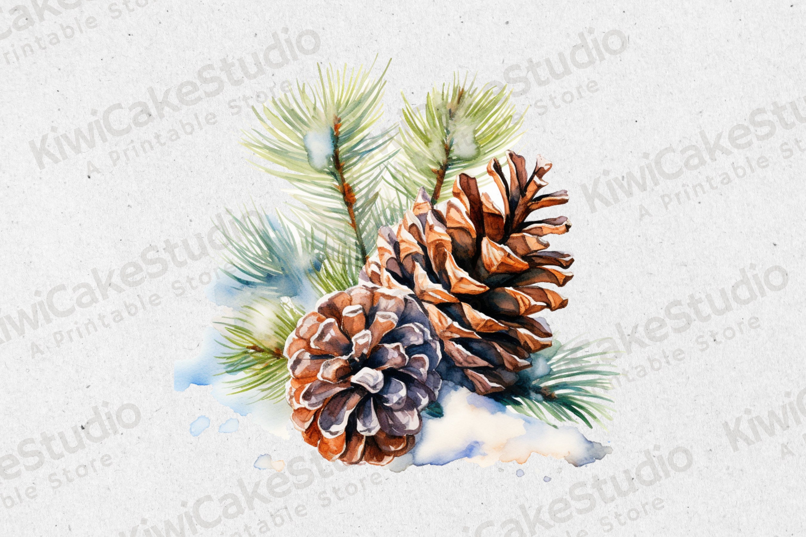 Watercolor Pine Cones Clipart, 10 High Quality Jpgs, Christmas Clip Art ...