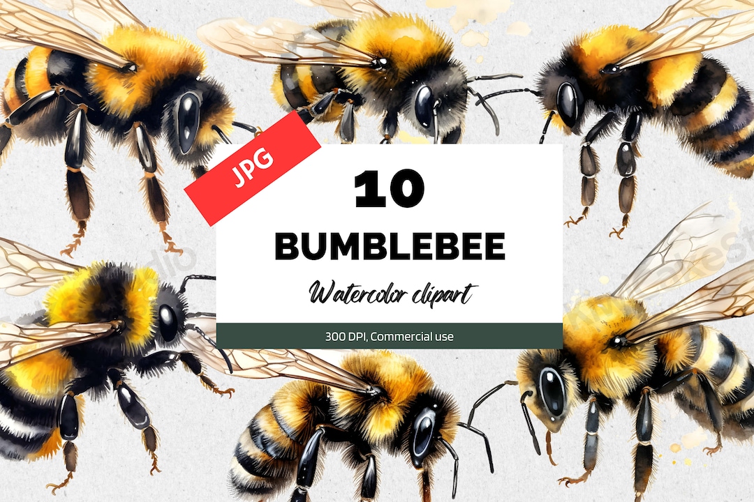 Watercolor Bumblebee Clipart, Jpgs, Cute Bee Digital Images, Card ...