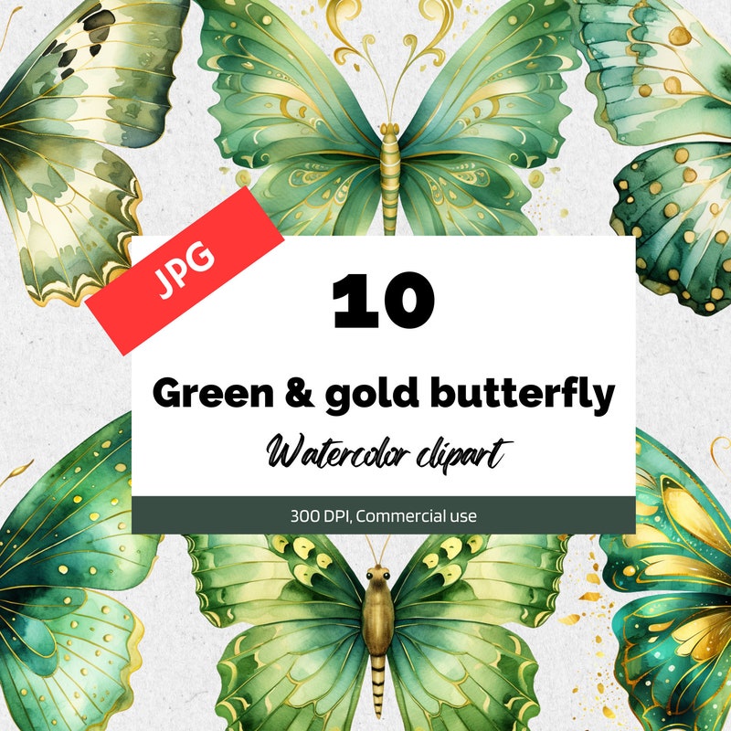 Green Butterfly - Etsy