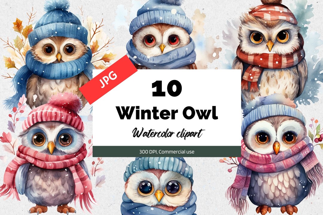 Watercolor Winter Owl Clipart, 10 High Quality Jpgs, Commercial Use ...