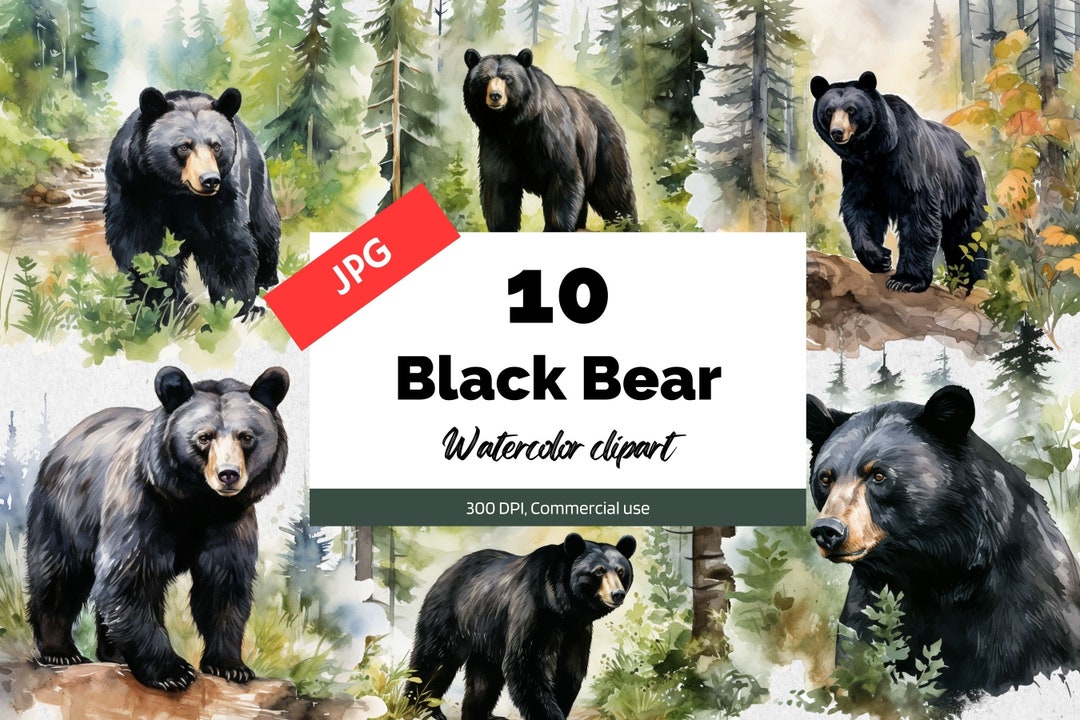 Watercolor Black Bear Clipart, 10 High Quality Jpgs, Commercial Use ...