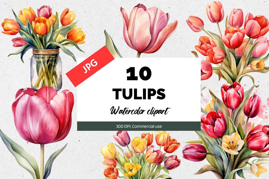Watercolor Tulips Clipart, 10 High Quality Jpgs, Commercial Use ...