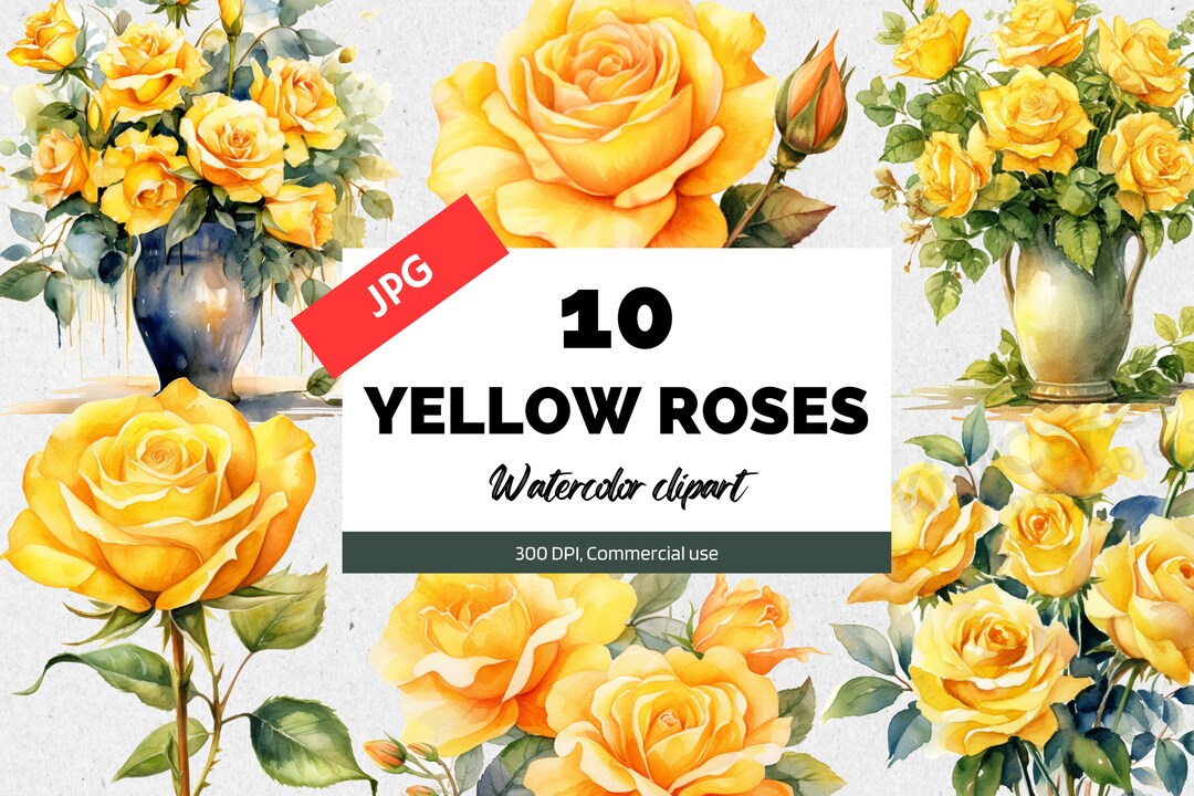 10 Watercolor Yellow Roses Clipart, Commercial Use, Instant Download ...