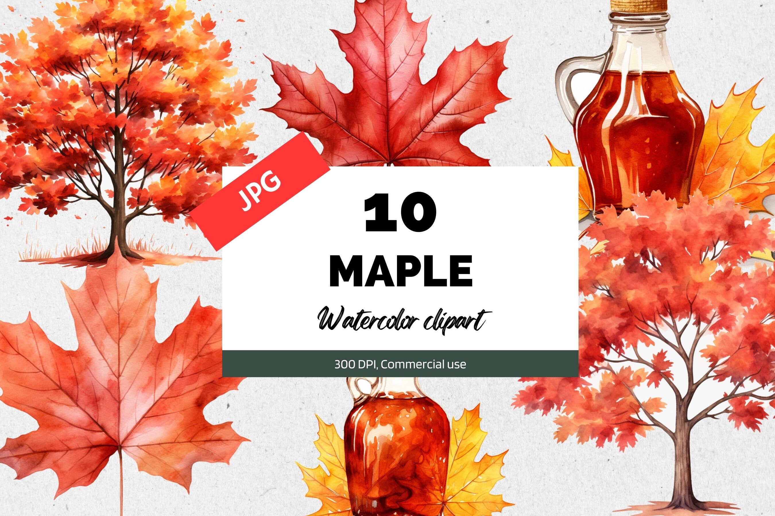 Maple Syrup Leaf Clip Art
