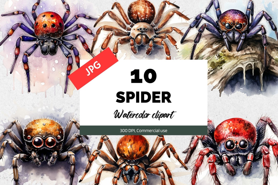 Watercolor Spider Clipart, 10 High Quality Jpgs, Commercial Use ...