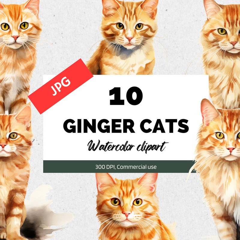 Ginger Cat - Etsy