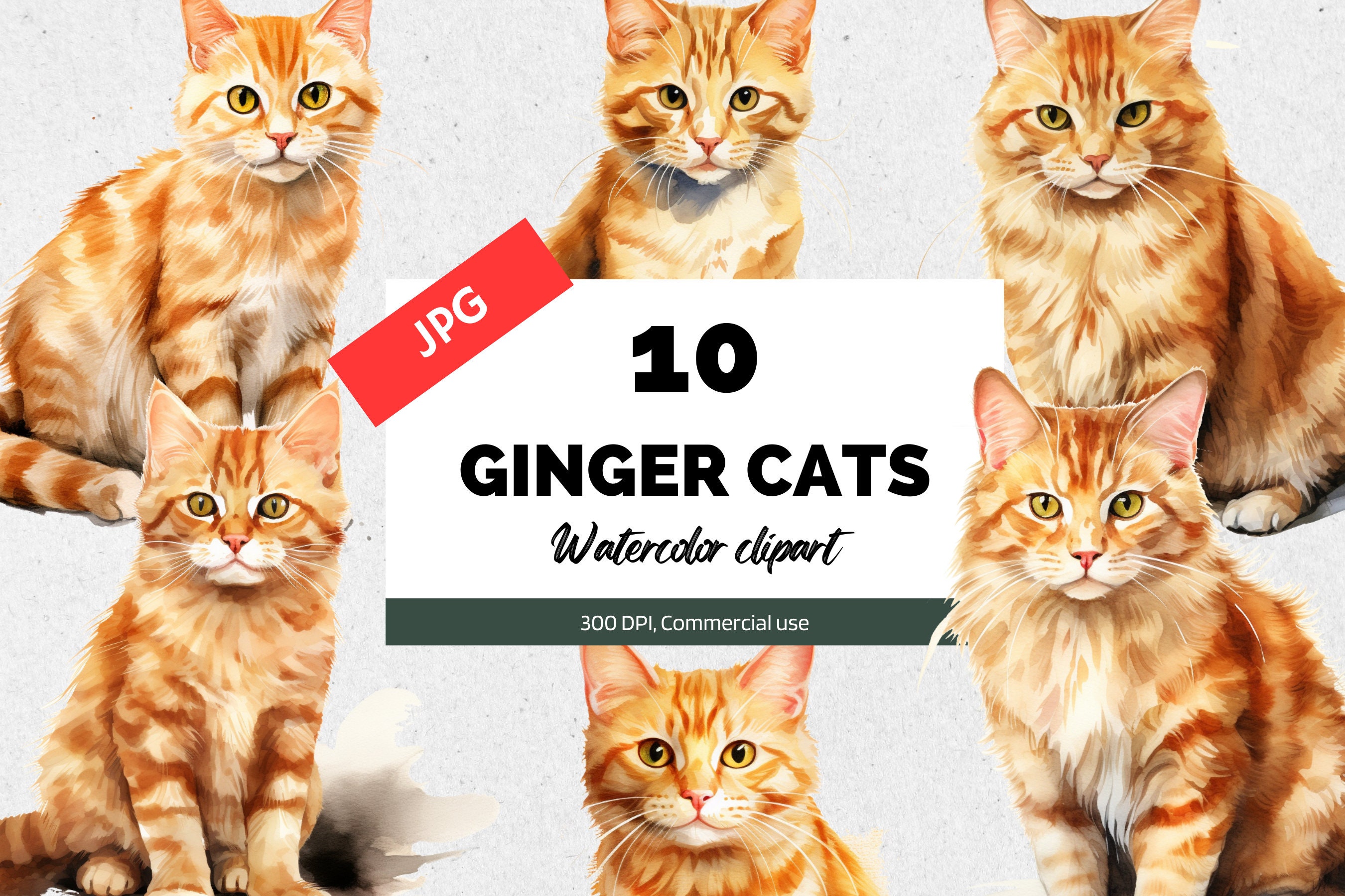 Watercolor Ginger Cat Clipart JPG Cute Cats and Kittens Card - Etsy UK