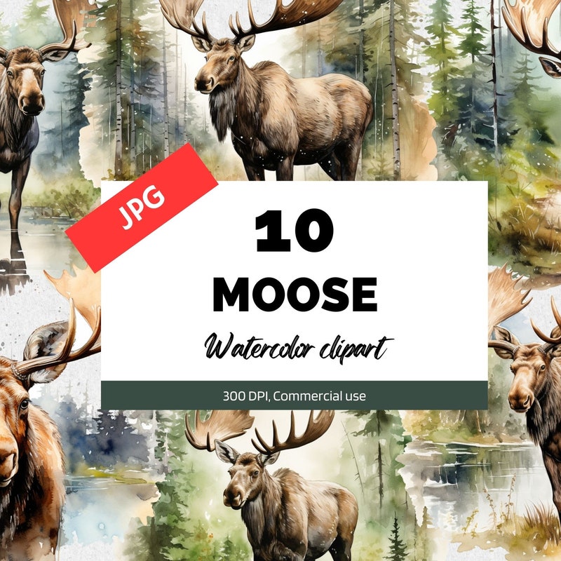 Moose Clipart - Etsy