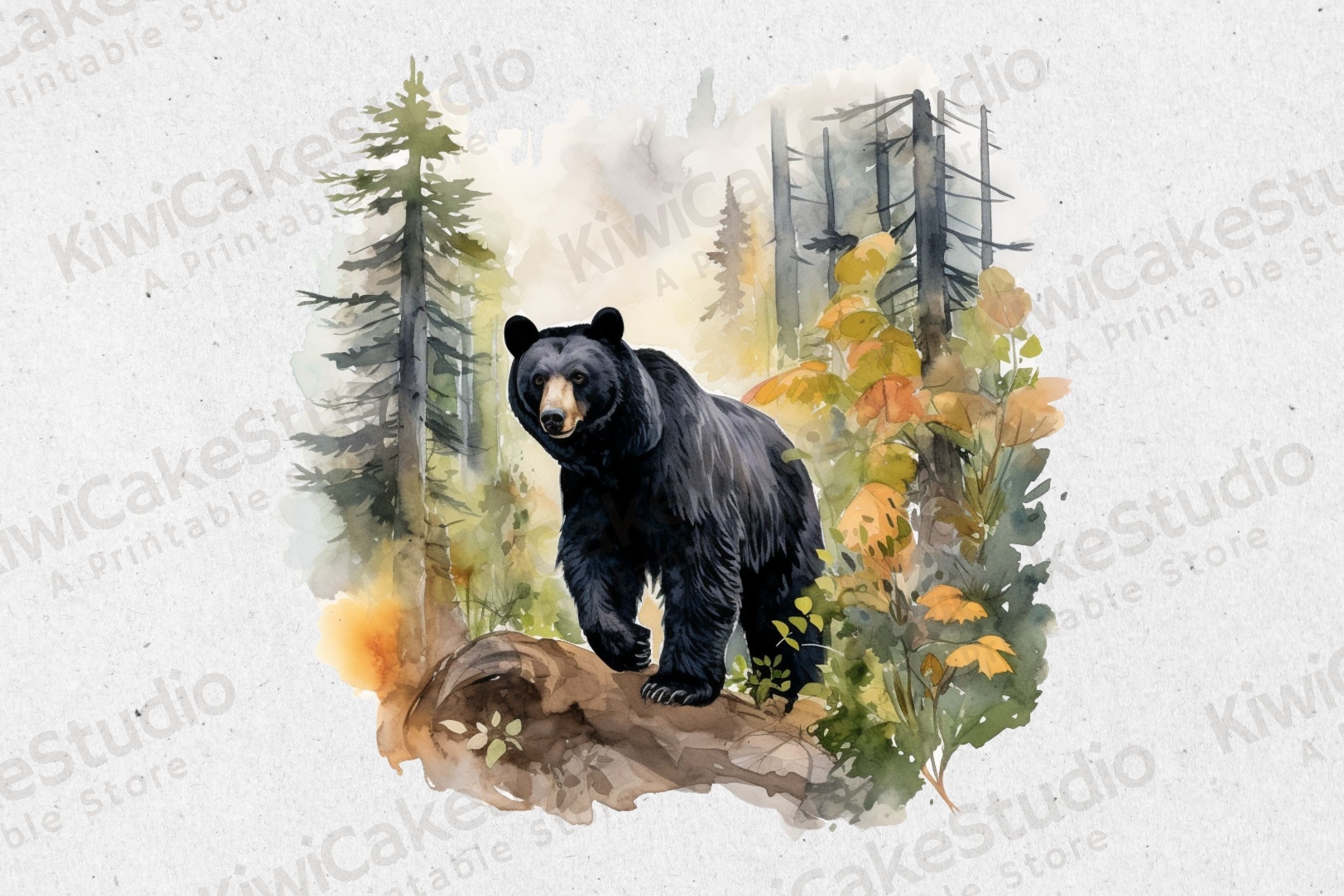 Watercolor Black Bear Clipart, 10 High Quality Jpgs, Commercial Use ...