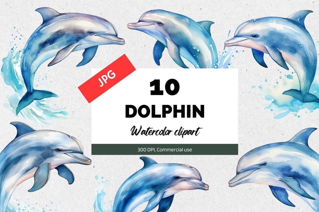 Watercolor Dolphin Clipart, 10 High Quality Jpgs, Commercial Use ...